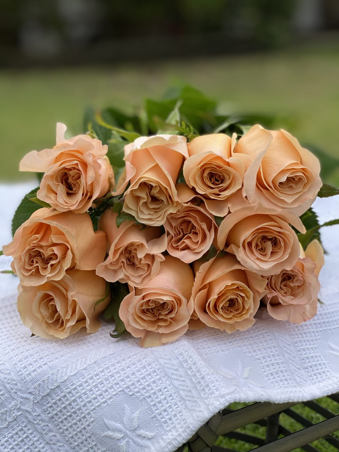 Box of 12 Dozen ROSES (180 Roses – NO fillers) (40cm – 16″) – MR Roses ...