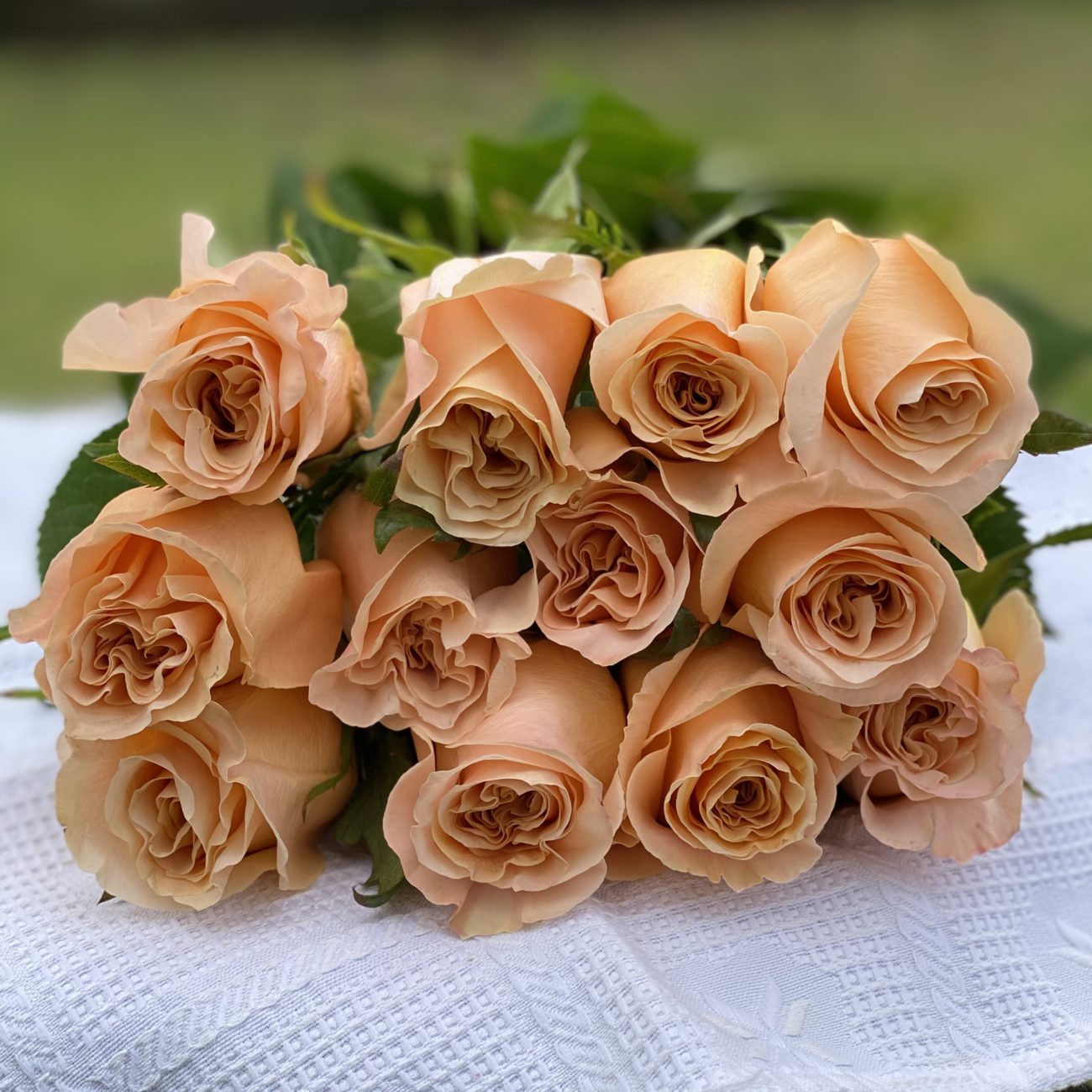 Box Of 150 Roses Individually Wrapped 40cm 16″ Mr Roses Farms