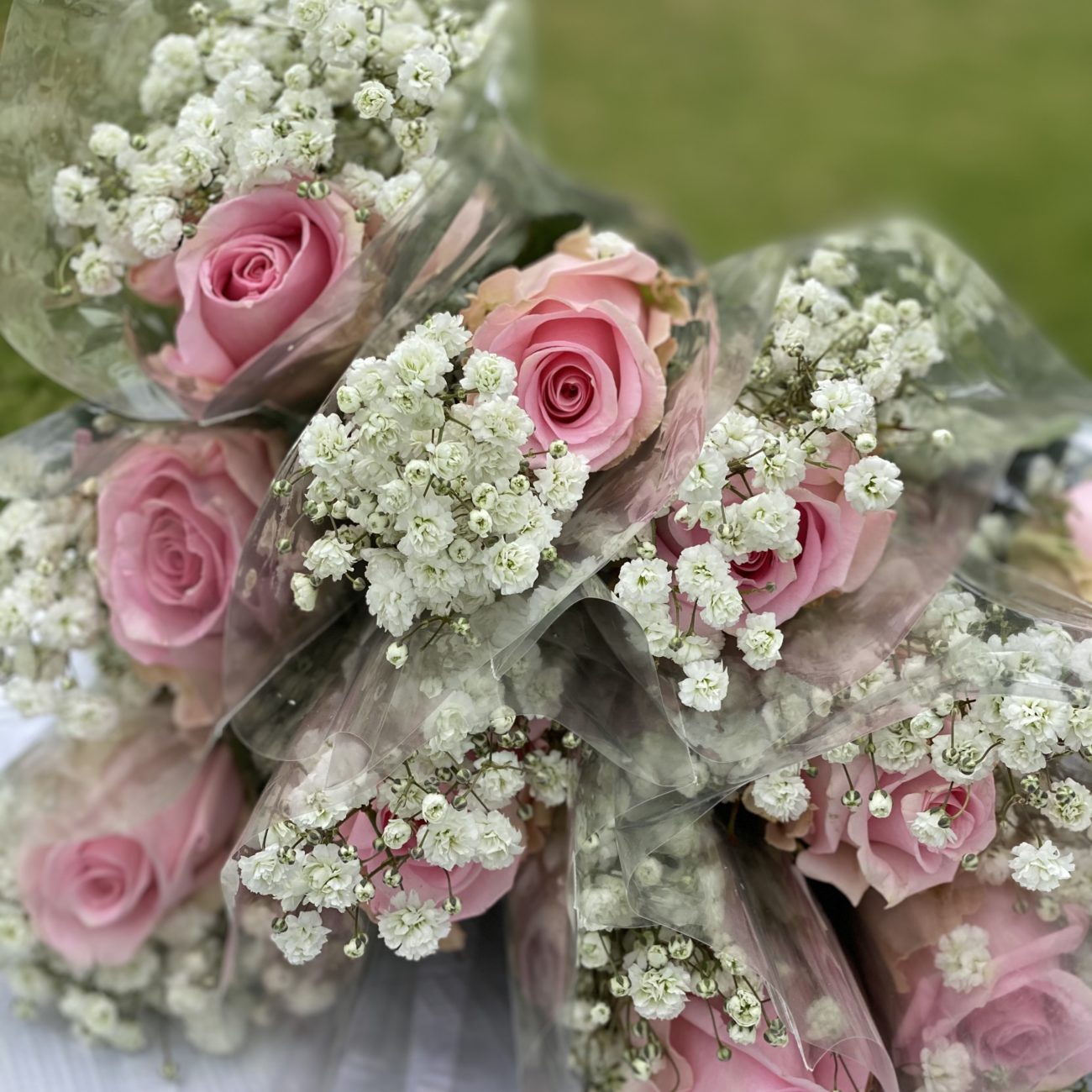 Box Of 100 Roses Individually Wrapped 40cm 16″ Mr Roses Farms