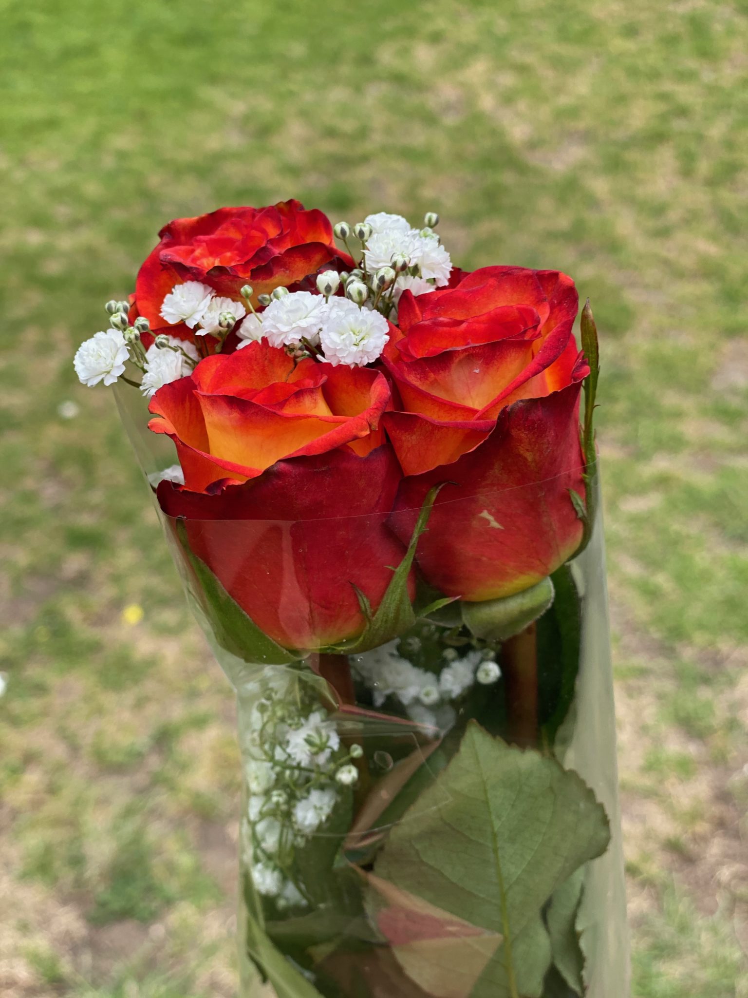 Box of 40 Three Roses BOUQUETS (3 roses 40cm / 16″+ 1 stem filler each ...