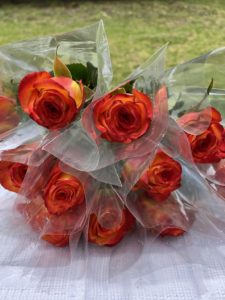 Box of 150 Roses Individually Wrapped (40cm – 16″) – MR Roses Farms